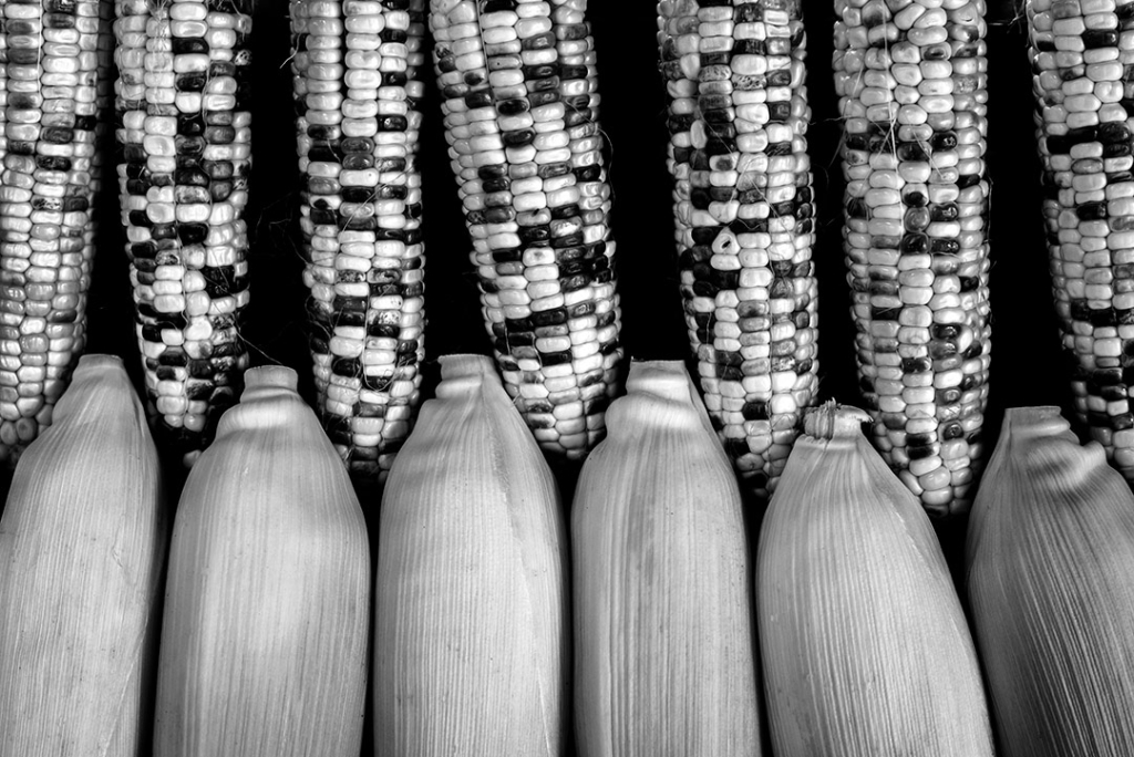 Composition ep.1.5 Visual Element (Texture) - นิตยสารการถ่ายภาพ ...