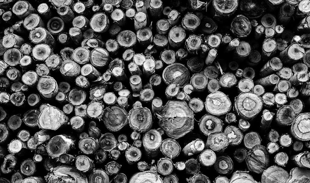 Composition ep.1.5 Visual Element (Texture) | นิตยสารการถ่ายภาพ ...