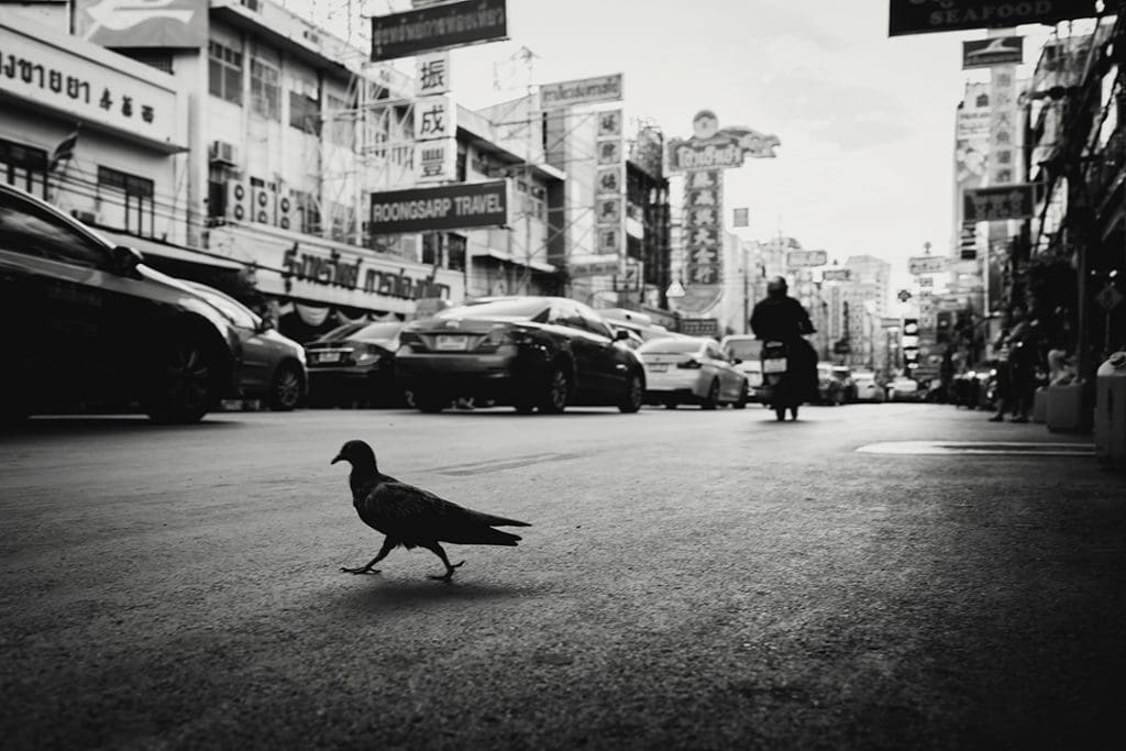 Composition ep.2.4 Principles of Composition (Dominance & Emphasis ...