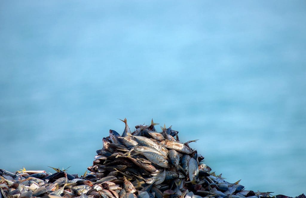 IDEAS & Creative Photography (Found objects & Snapshot) | นิตยสารการ ...