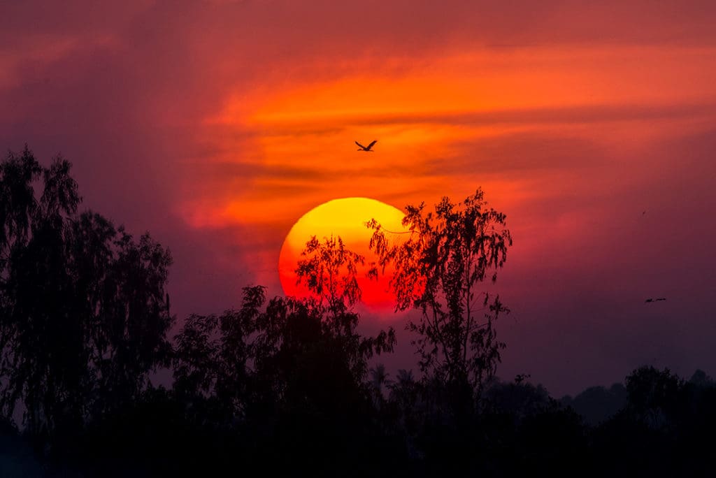 Shooting Into the Sun | นิตยสารการถ่ายภาพ camerartmagazine