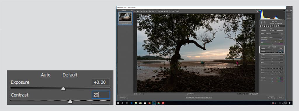 RAW Process แบบ Basic | นิตยสารการถ่ายภาพ camerartmagazine