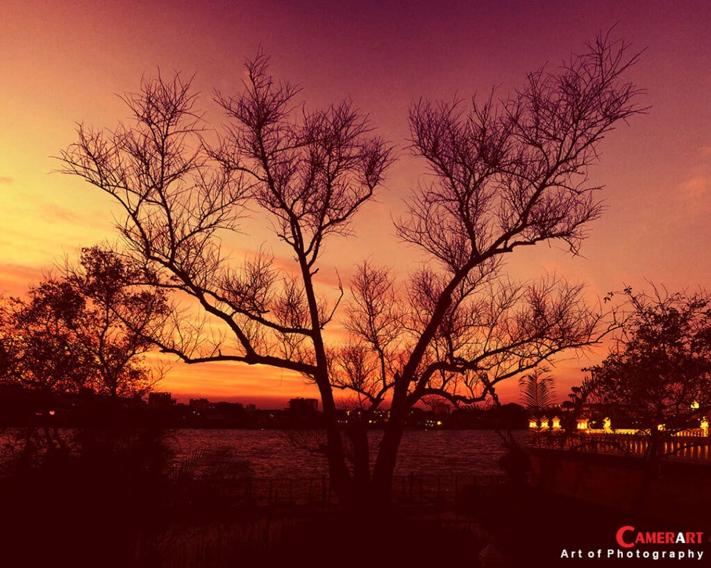 Art of Photography_ Tone, mood and feeling ควบคุมโทนสีในภาพ เพื่อสร้าง ...