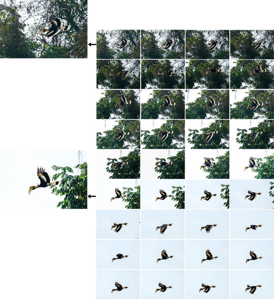 Canon EOS R6 Mark II | นิตยสารการถ่ายภาพ camerartmagazine